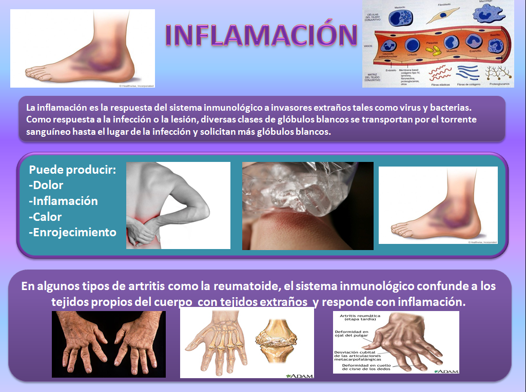 Blog de Fisiología, UAS, Valeria Medel García : febrero 2014