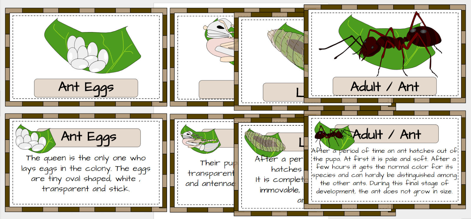 I LOVE TEACHING IDEAS