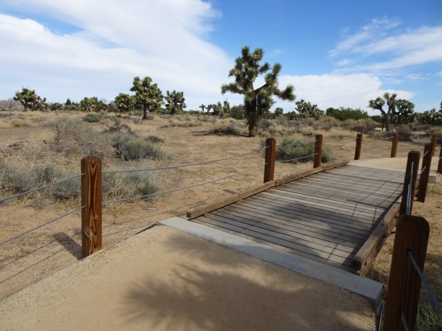 Walkabout With Wheels Blog: Visiting Prime Desert Woodland Preserve in ...