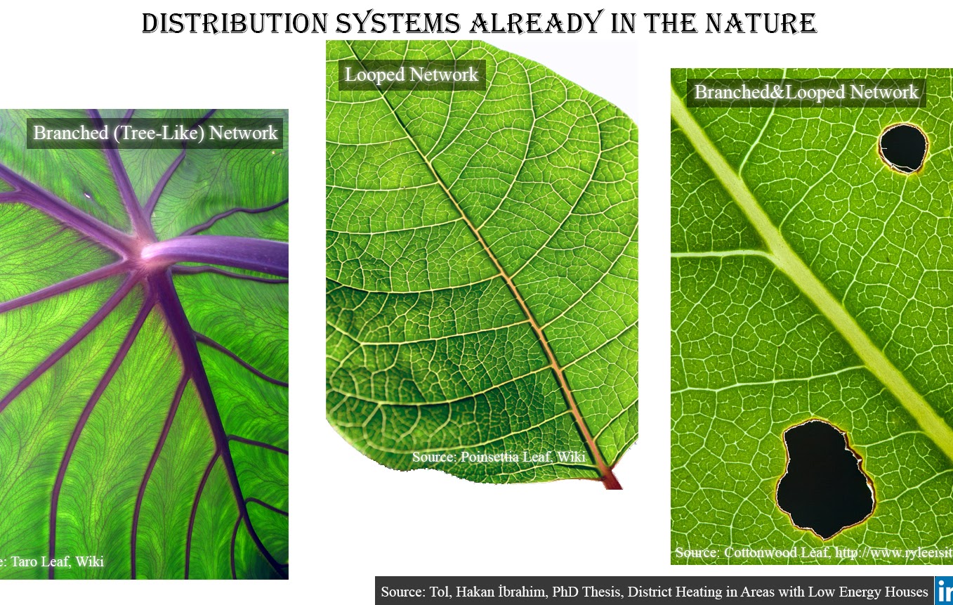 The Worlds in the World