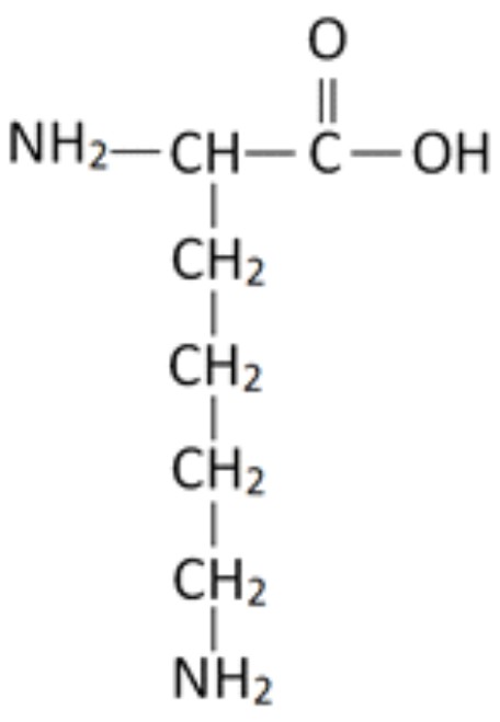 Asam Amino, Peptida, dan Protein ~ NOBODY'S PERFECT