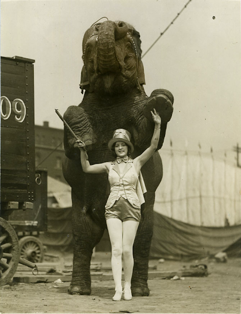 49 Vintage Photos Showing How Circuses Have Changed Significantly Over ...