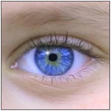 un xic de ciència: Ulls, de quin color?