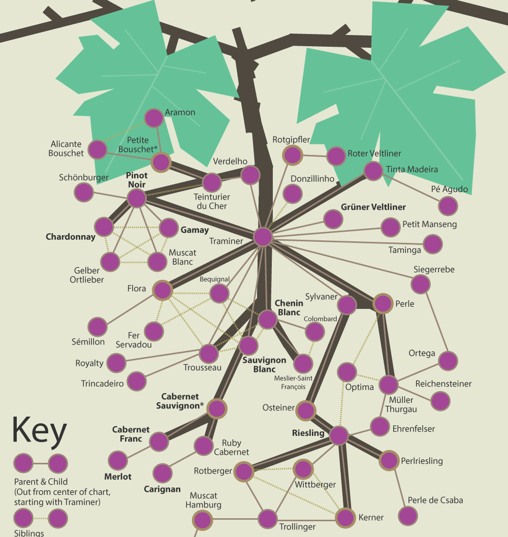 Wine-Knows: Fine Wine & Gourmet Food Journeys for the Discerning ...