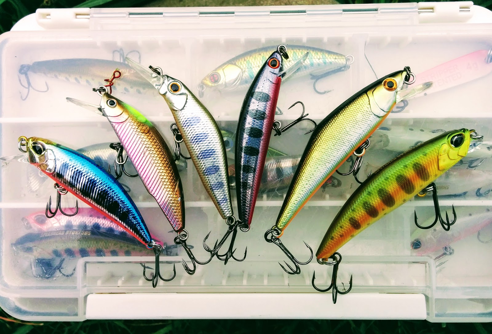 Lure and Light Game: Trout Minnows