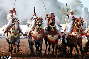 Le cheval de Tbourida | culture marocain