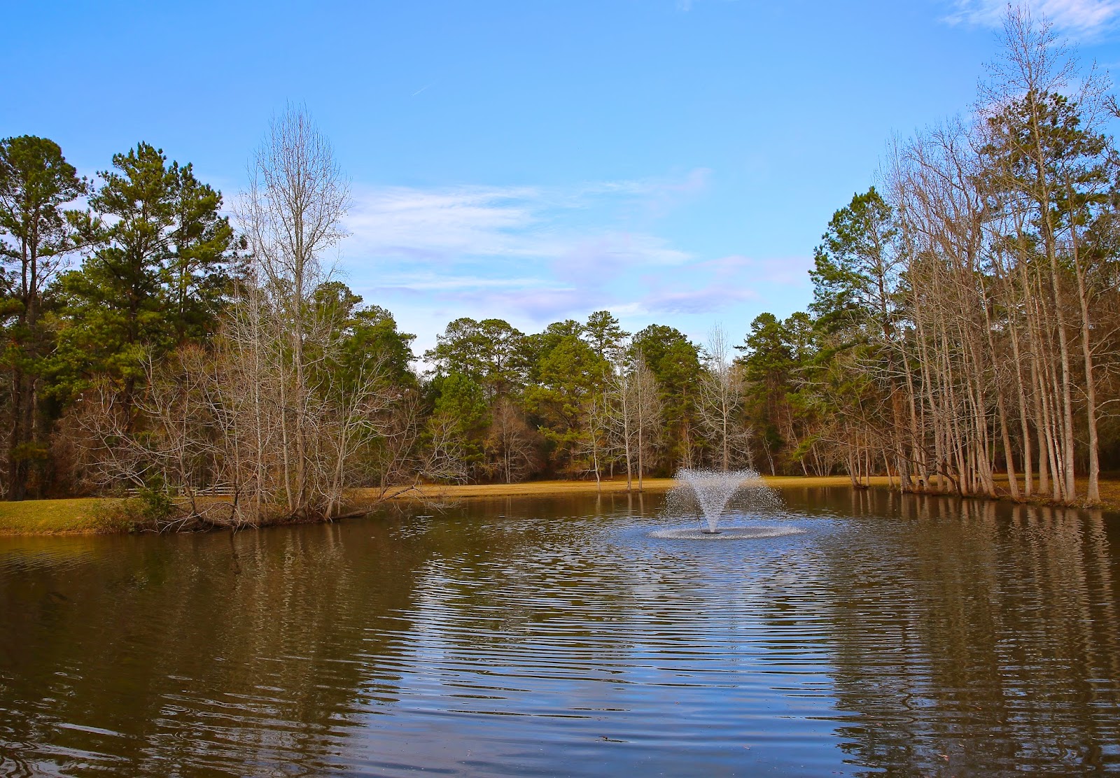 Sweet Southern Days: Restocking The Fish Pond