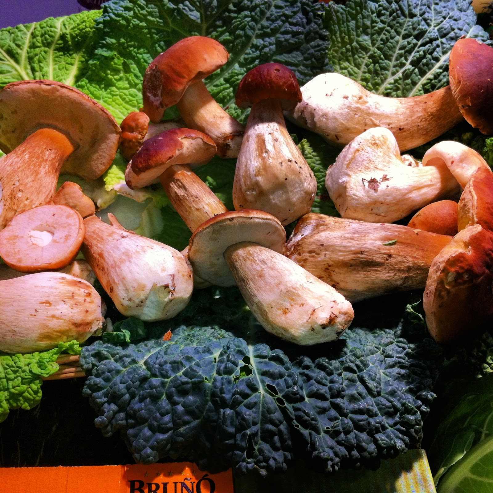 RISOTTO DE BOLETUS Y TRIGUEROS - Al Dente