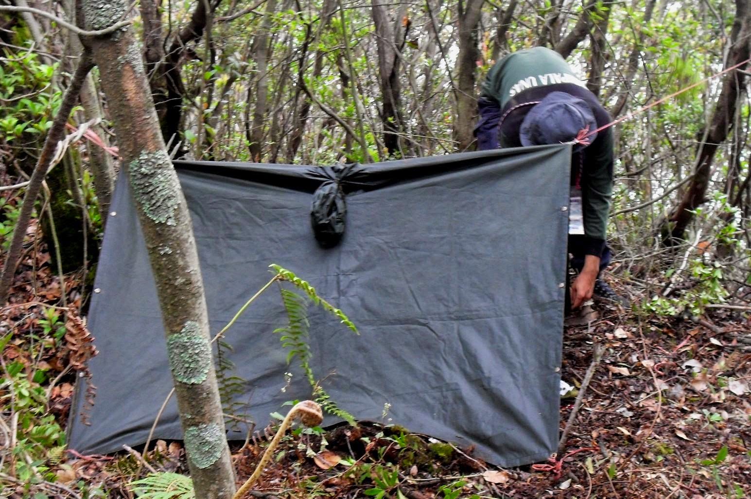 Pecinta Alam: Cara Bertahan Hidup di Alam Bebas Bagi Para Survivor