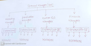 What is Line Organization and write its Advantage and Disadvantage ...