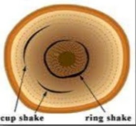 CivilEngZone : Think big,We do.: Timber-structure,seasoning,types of ...