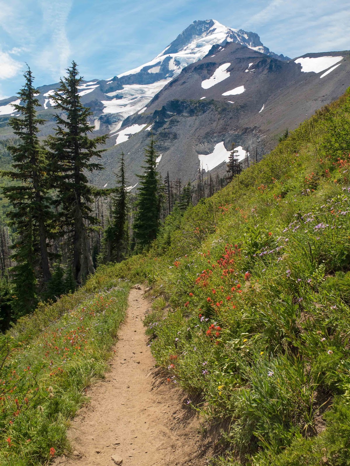 Liz and Brad's Big Adventures: Timberline Trail beauty shots