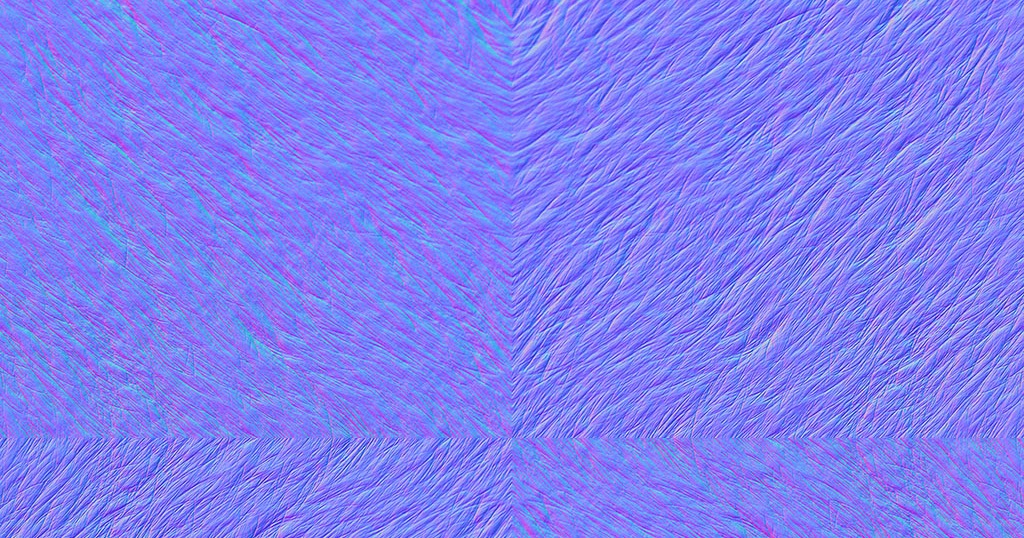 HW2 FUR TEXTURE NORMAL