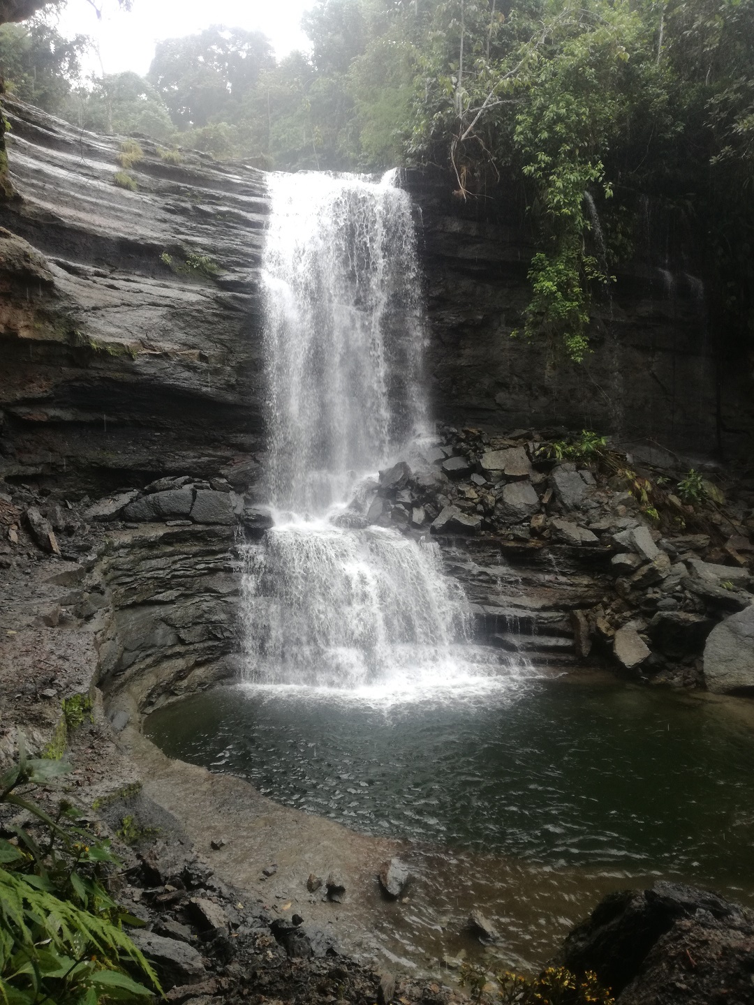 El Piñal en San Martín: Centros Poblados