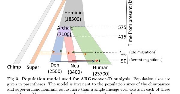 Dispatches From Turtle Island: Dilute Super-Archaic Hominin Ancestry