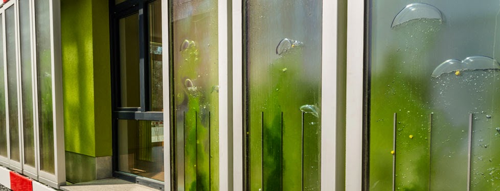 The Architectural Student: BIQ House