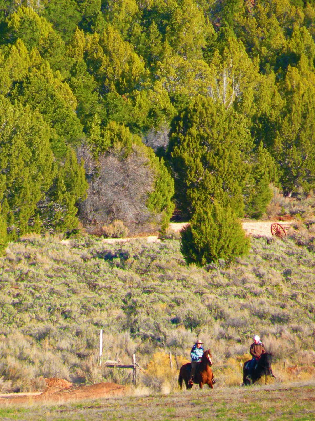 Dream Packer Trail Adventures: Deer Springs Ranch, Kanab, Utah