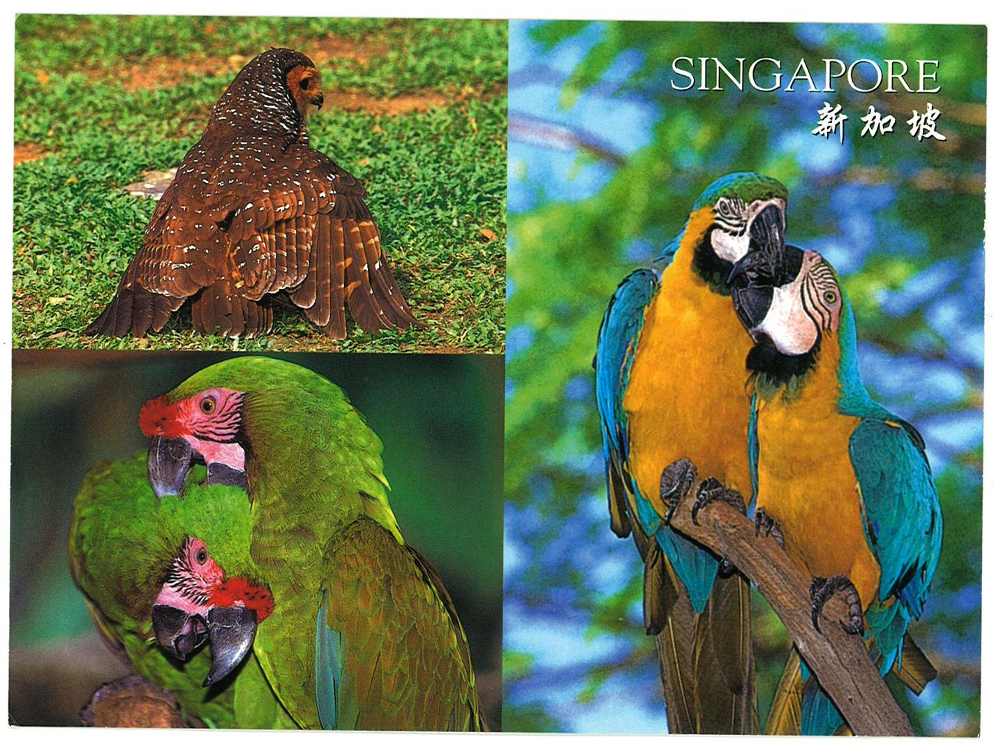 philatelyandpostcards2012: Birds of Singapore