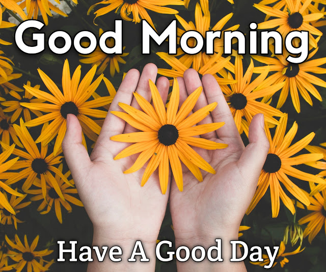 Top 10 Good Morning ji Wishes.Images greeting Pictures,Photos for ...