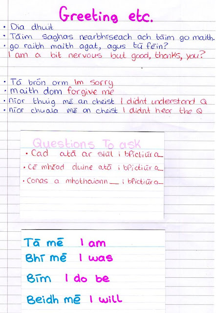 Study Notes By Kaz: Irish Oral: OL