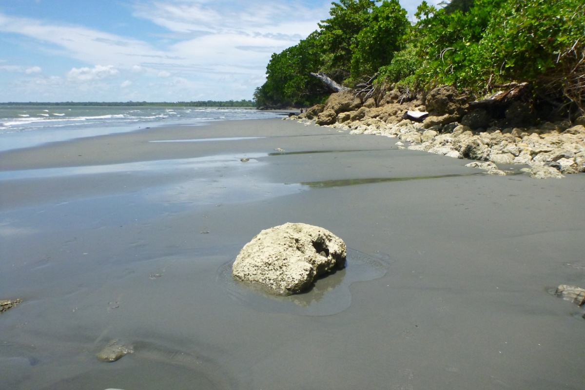Queensland Coast: When the Great Barrier Reef was a land of hills and trees