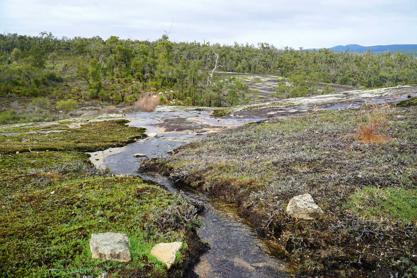 Abyssinia Rock Walk GPS Route (Jarrahdale State Forest) ~ The Long Way ...