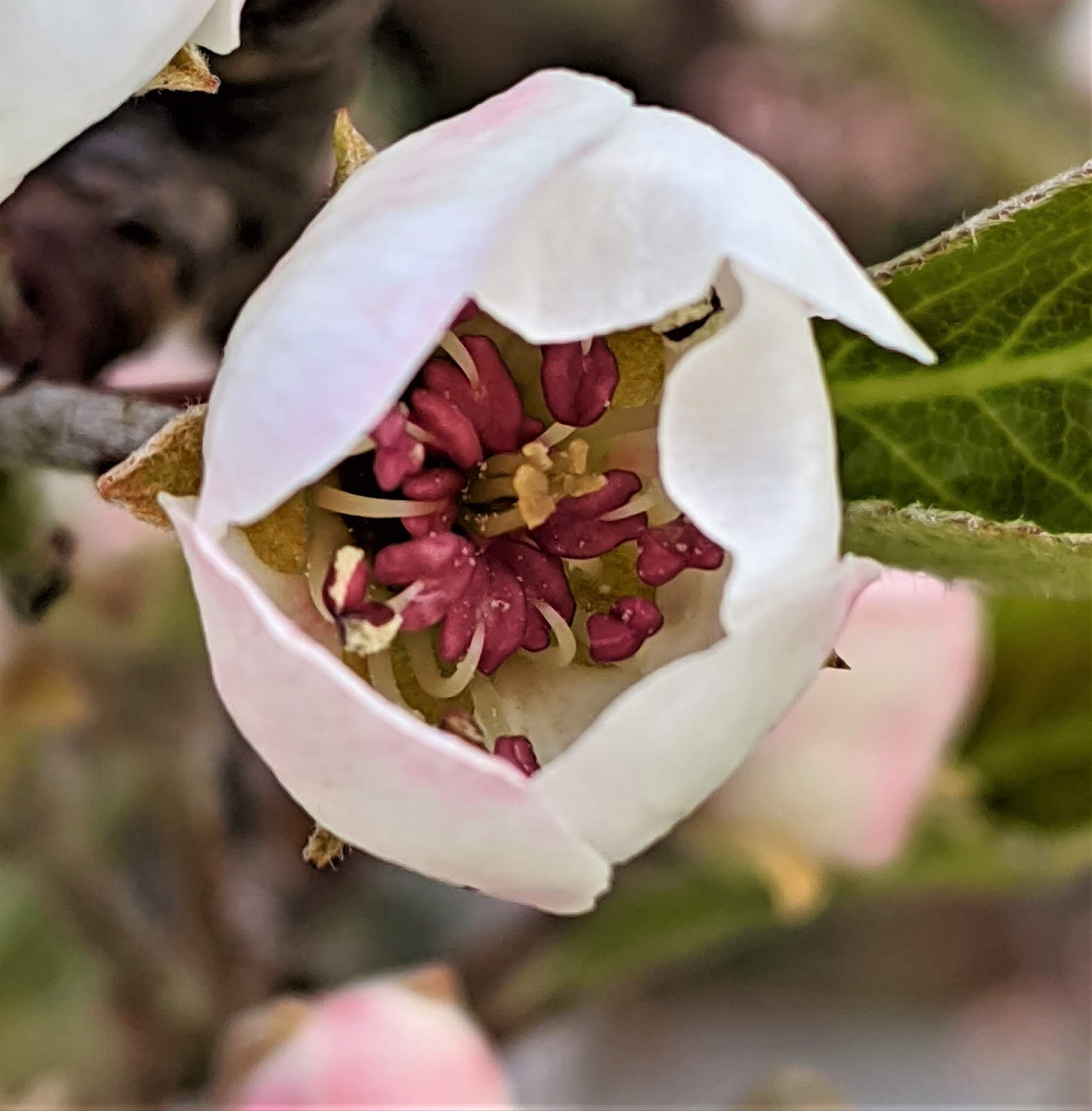 Stranger Days #36: Springing