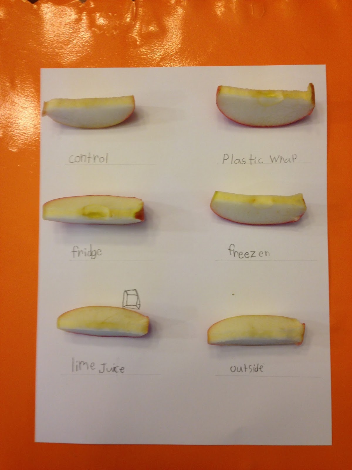 Elaine Vickers: Apple Science