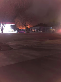 8 Puppies Rescued From Raging House Fire At Muswellbrook - 2NURFM