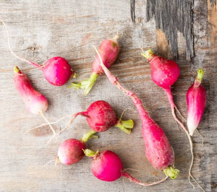 Kelly's Classroom Online: How to Grow Radishes from Scraps