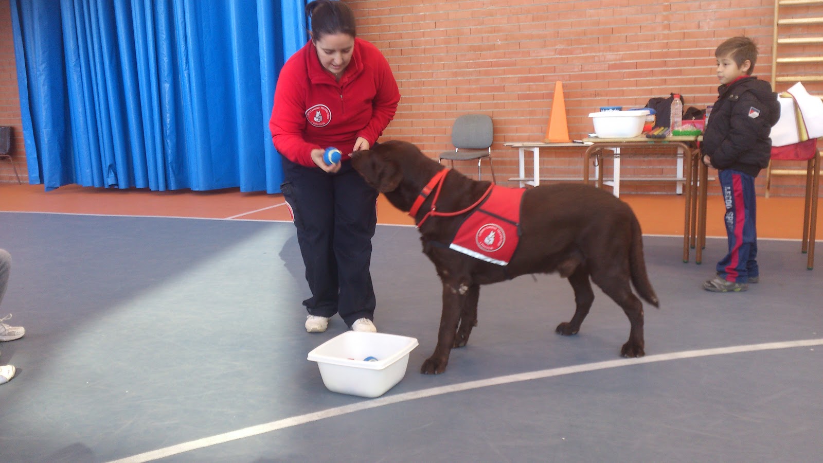 Mil recursos: TERAPIA CON PERROS