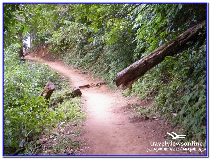 പ്രകൃതിയിലേക്ക് ഒരു യാത്ര (a travel towards NATURE): PULLUMEDU a unique ...