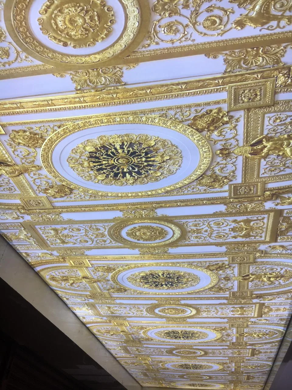 ..Architect-Interior~~: Stretch Ceiling Gallery