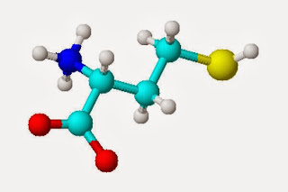Çka janë molekulat ?! | Shkenca