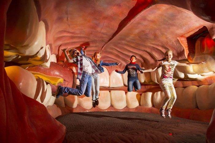 Chingum — Discover Curiosities: Corpus Museum | The Human body museum