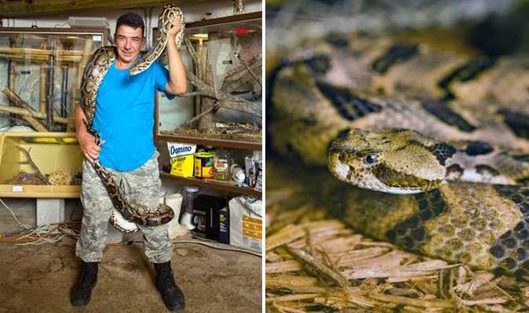 FAST INFO MAGAZINE: Man living with Venomous Snakes in One Room ...