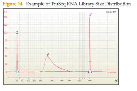 RNA-seq and the problem with short transcripts - Enseqlopedia