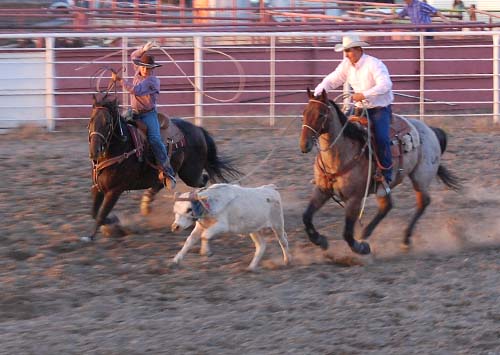 Side Trips: TEAM ROPING AND STEER WRESTLING