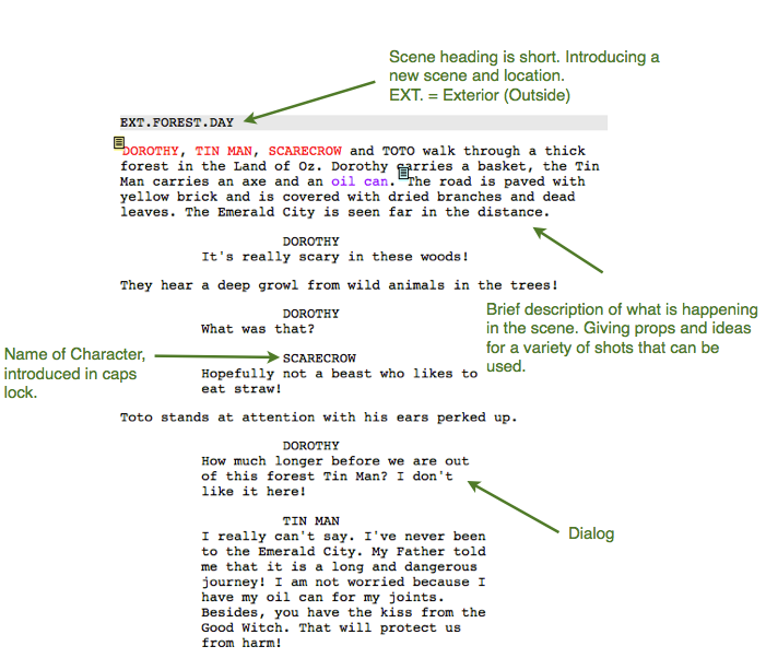 Unit 24: Writing for TV & Video: Writer's Blog