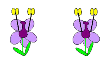 Plant Reproduction Gif