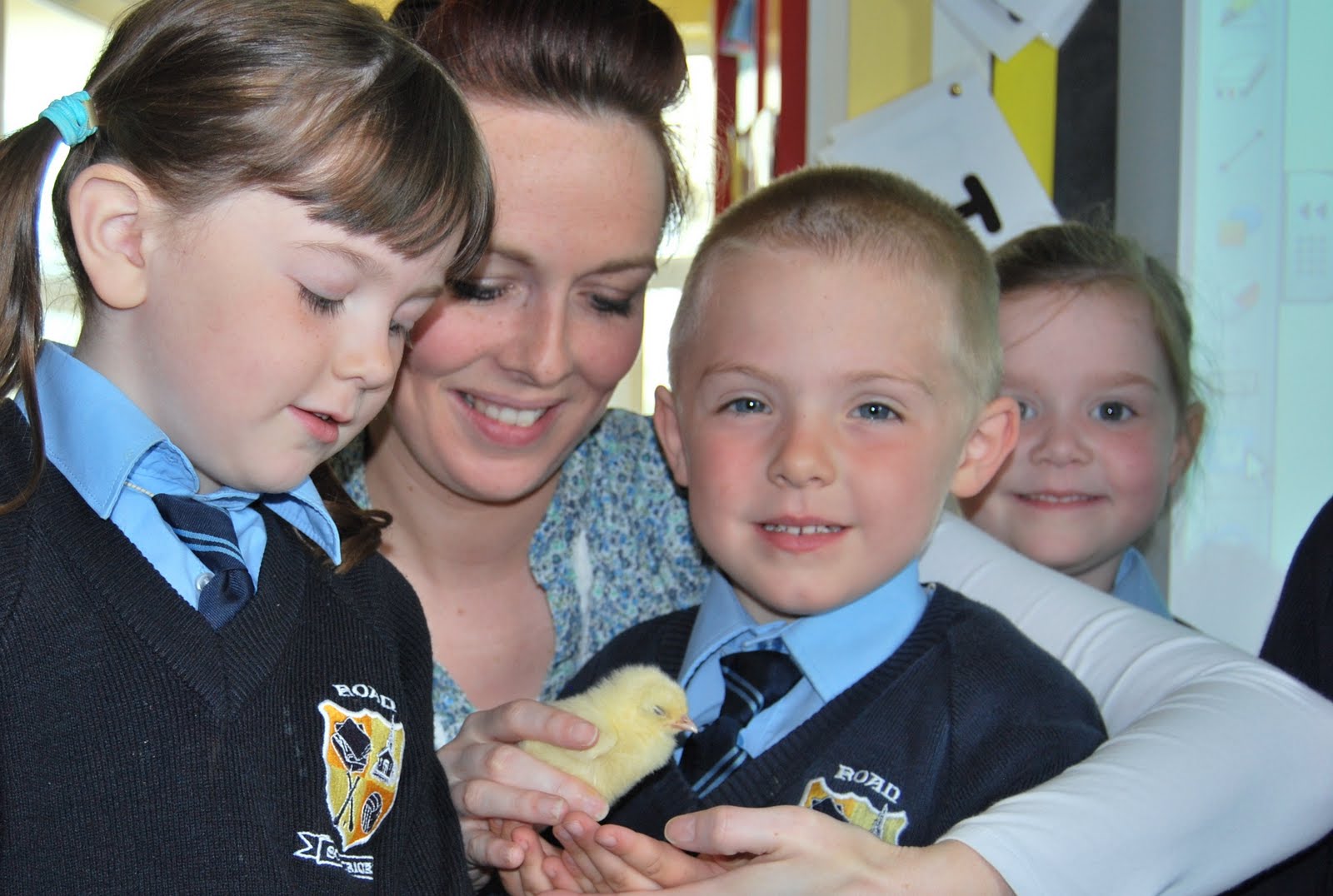 Roan St. Patrick's Primary school: May 2011