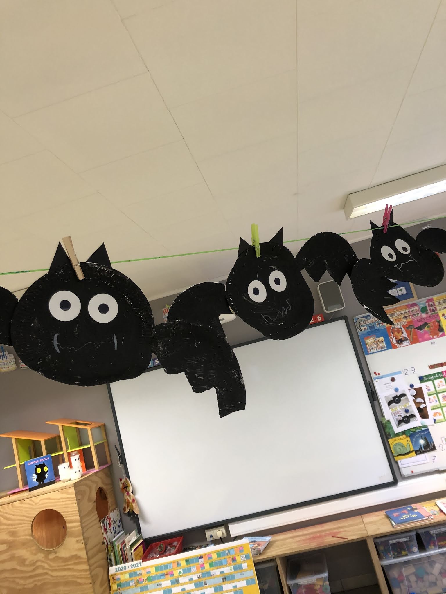 Nos chauves-souris. - École Saint-Joseph à Wonck - Blog