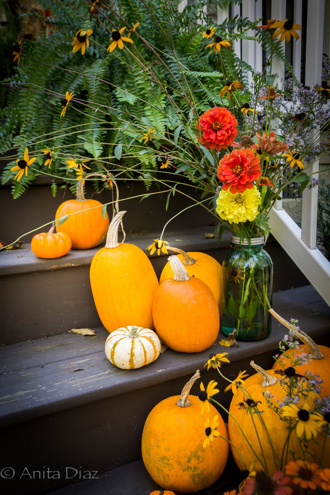 Mountain farmhouse fall steps - Whispering Pines Homestead