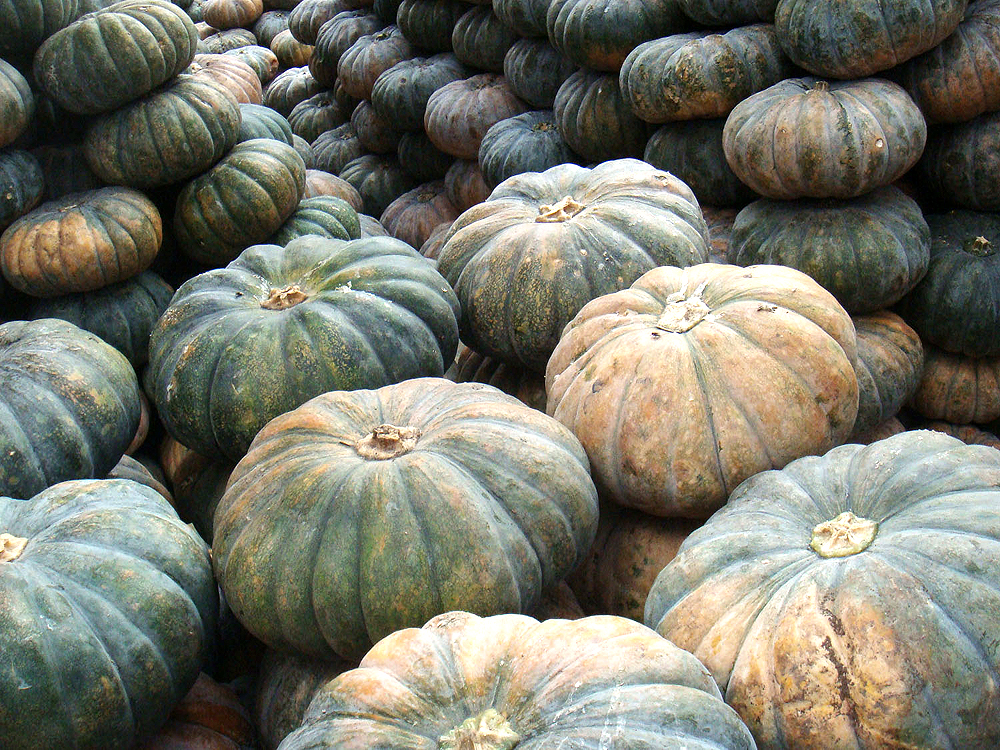 Home Cooking with Nona Lema: GINATAANG KALABASA AT OKRA