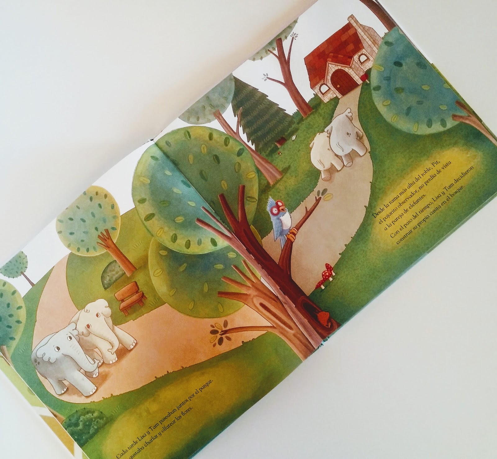 VIAJE AL BOSQUE. Descubre los transportes con Tam