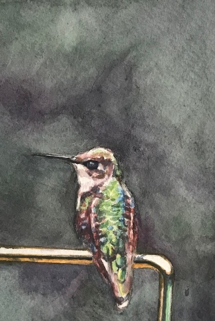 A Painting A Day Blog ~ Andy Smith: 2021 Hummingbird ~ Bird #16