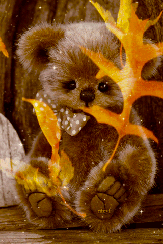 Animated gifs: Teddy bear