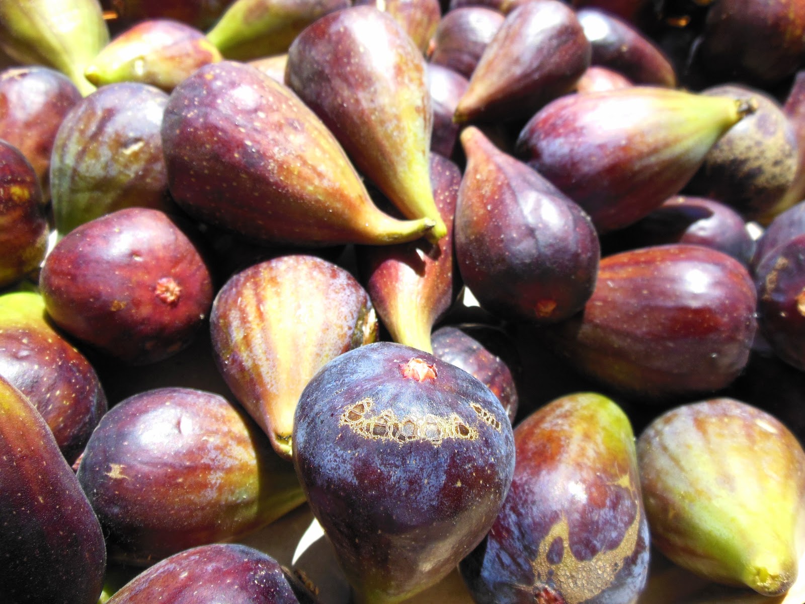 Cuisine de Provence: Festival de la Figue in Caromb - great Festival ...