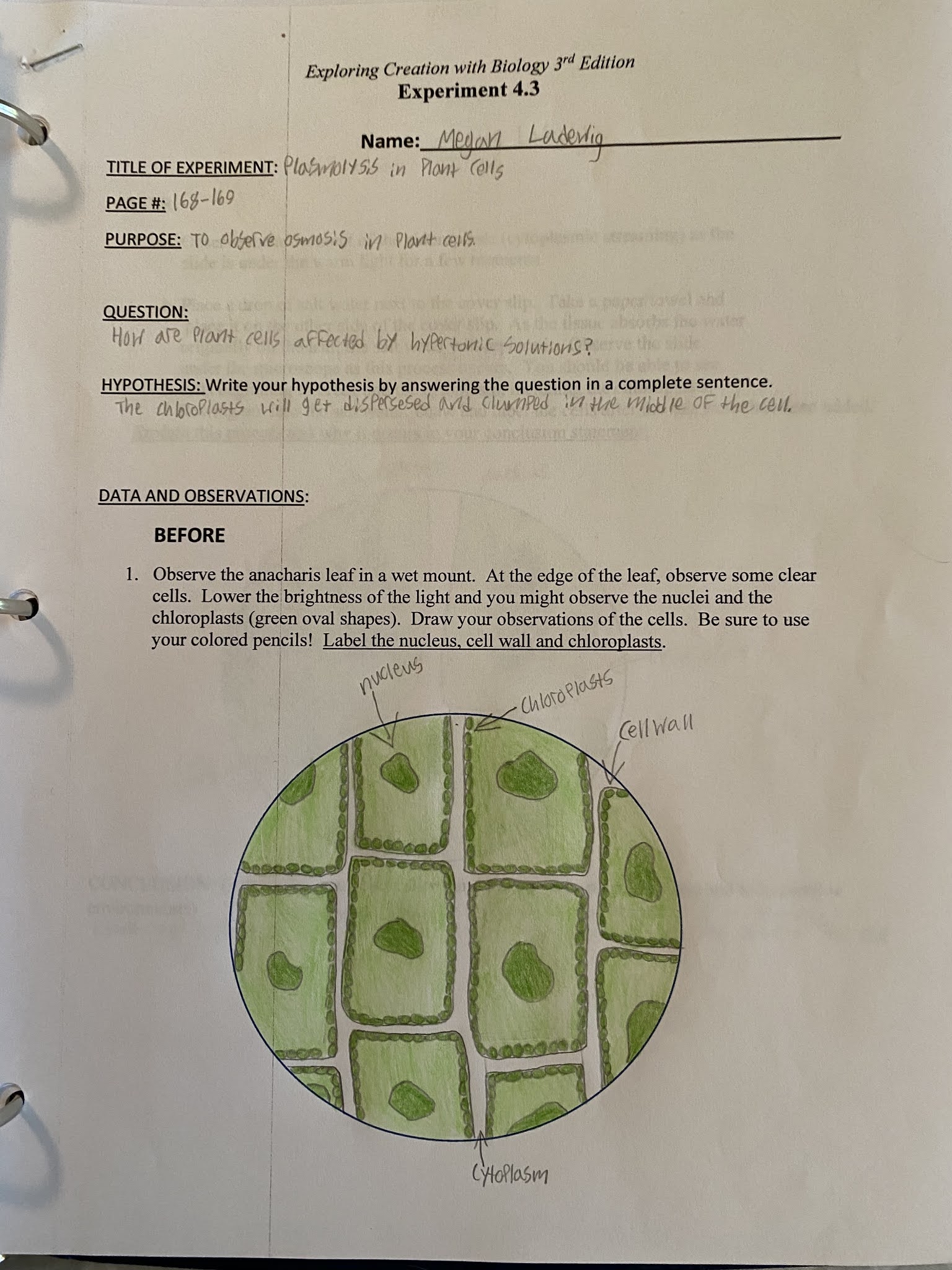 Homeschool Happenings: Apologia Biology