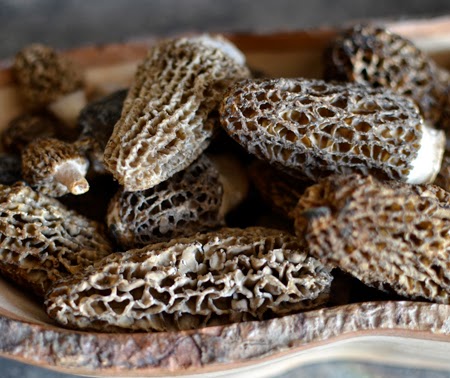 Cocoa and Lavender: The Morel of the Story